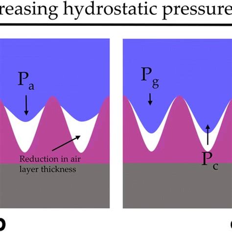 Schematic Representing A Wenzel And B Cassie Baxter Wetting Models Download Scientific Diagram