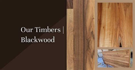 Blackwood Slabs Leading Exotic Timber Suppliers