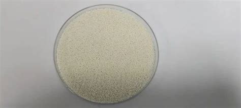 Fermentation Process Esomeprazole Mups Pellet At ₹ 650kg In Hyderabad