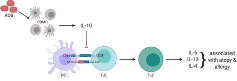 The Ammonia Oxidizing Bacterium Nitrosomonas Eutropha D23 Blocks T