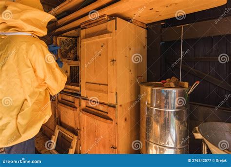 Apiarist Putting Hive Frames On The Beekeeping Frame Holder Royalty