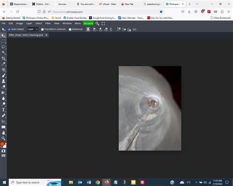 Does Not Fit Screen · Issue 5432 · Photopeaphotopea · Github