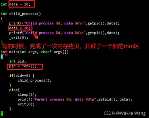 进程线程二 Fork、vfork、clone，写时拷贝cow技术线程是 Fork还是vfork Csdn博客
