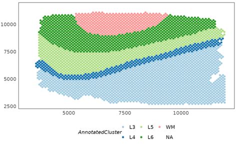 Plot Spatial Transcriptomic Annotations Per Spot — Plotspatial • Spanorm