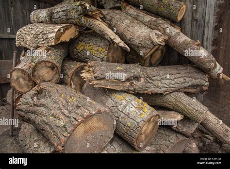Woodpile Of Chopped Lumber Pile Of Wood Logs Stacked Firewood Timber