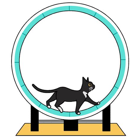 Fit N Fun Cat Wheel Fun Fitness For Indoor Cats