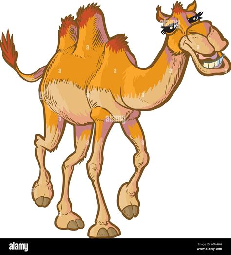 Camel Toe Stock Vector Images Alamy