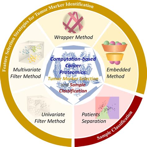 computational advances of tumor marker selection and sample classification in cancer proteomics