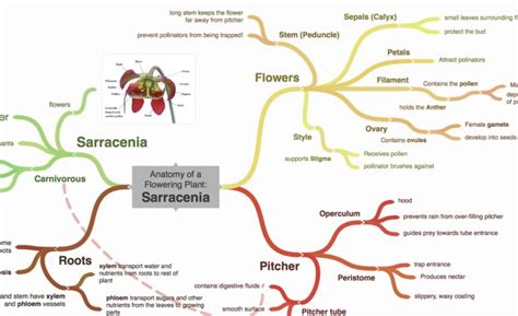 11 Best Brainstorming Software For Collaboration And Idea Mapping