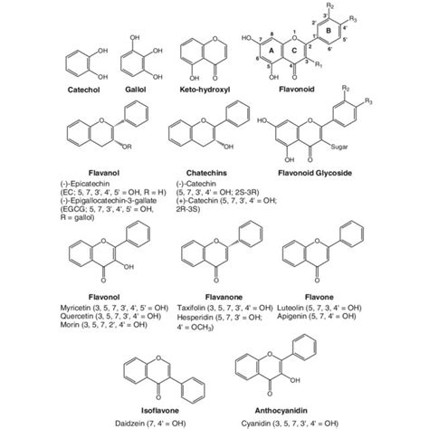 Basic Structures Of Polyphenols And Subclasses Of Flavonoids 16 Download Scientific Diagram