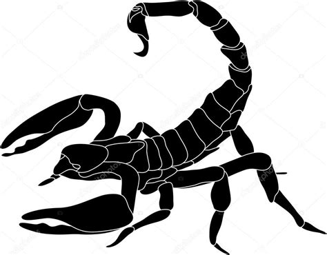 Scorpion ⬇ Vector Image By © Pavelmidi Vector Stock 2376738