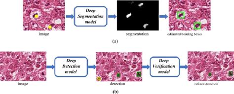 Figure 1 From Mitosis Detection Using Image Segmentation And Object