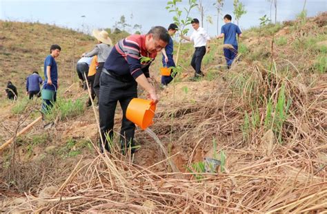 江东新区开展2023年全省推进绿美广东生态建设义务植树活动 河源文明网