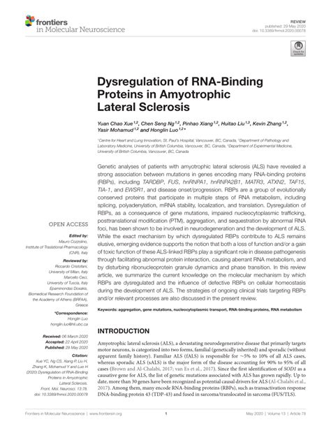 PDF Dysregulation Of RNA Binding Proteins In Amyotrophic Lateral Sclerosis