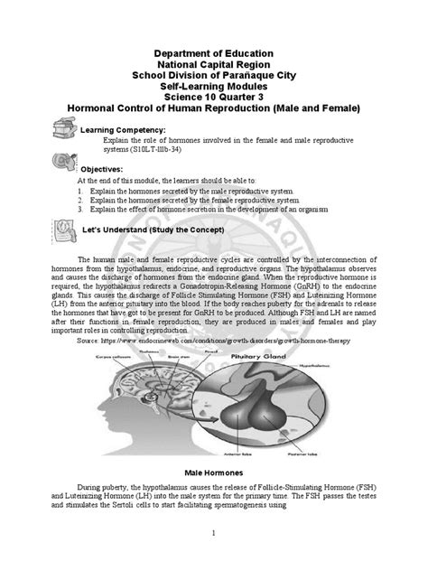 Asynchronous Day 1 Pdf Luteinizing Hormone Menstrual Cycle