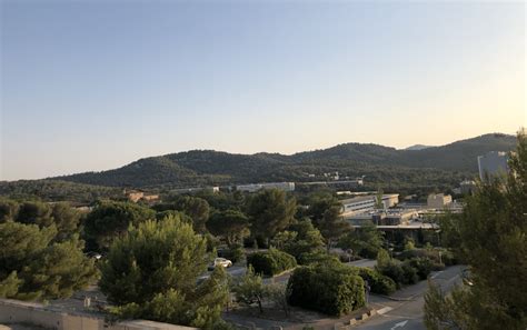 La Faculté Des Sciences Du Sport Réunit Son Club Des Partenaires Un