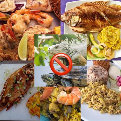 Comidas Tipicas De La Region Caribe Hot Sex Picture