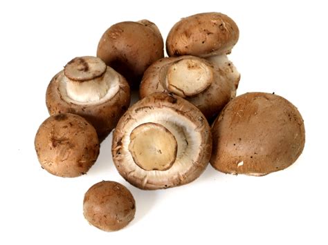 Champignons Braun Pilze
