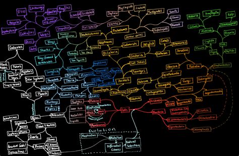 Foundations Of Biology Mind Map Album On Imgur