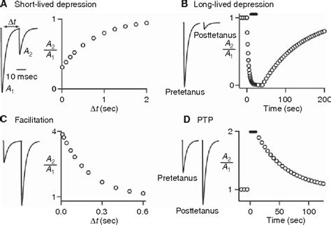 Figure 1 From Short Term Presynaptic Plasticity Semantic Scholar