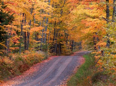 The Ultimate Guide To West Michigan Travel The Food For The Soul