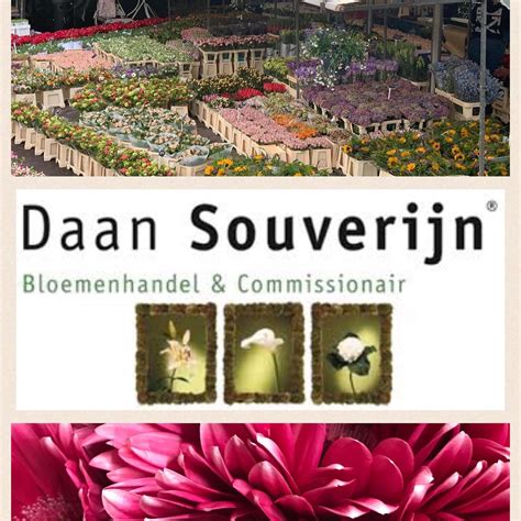 Eindelijk Is Het Zover Vandaag Is Het Nationale Tulpendag 🌷 Eén En Al