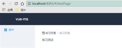 vue 学习 操作 文档 vue vercode csdn博客