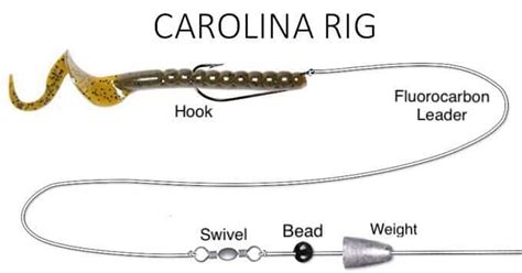 Carolina Rig Fishing Setup Tips And Tricks