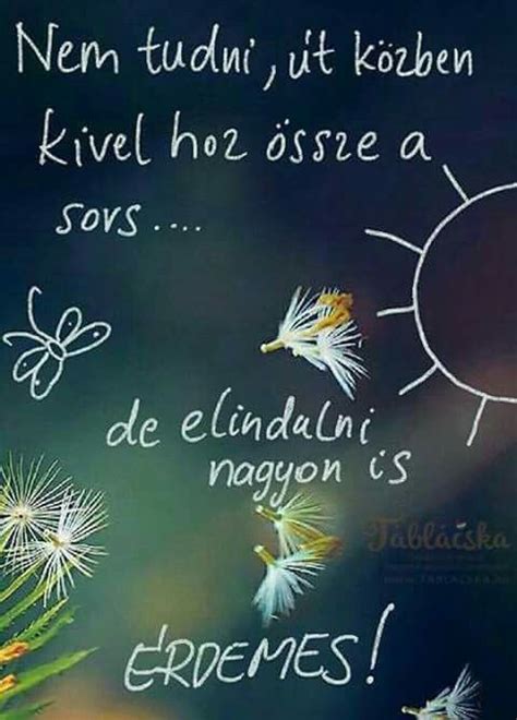 Pin Di Katalin Kiss Su Inspir L Id Zetek