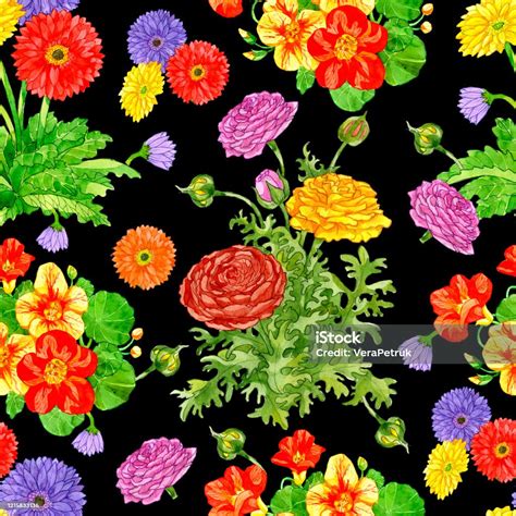 검은 배경에 Purslane 나스투르티움 거버 데이지 꽃과 원활한 패턴 0명에 대한 스톡 벡터 아트 및 기타 이미지 0명