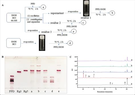 Tlc Plate Transfer Application At Maya Hurley Blog