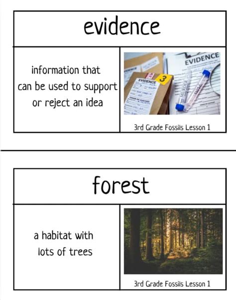 3rd Grade Word Wall Fossils Mystery Science By Sunflower Teacher Wy