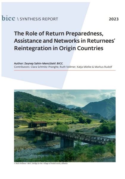 The Role Of Return Preparedness Assistance And Networks In Returnees