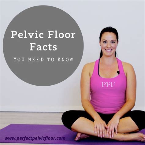The Pelvic Floor Facts You Need To Know Pelvic Floor Pelvic Floor
