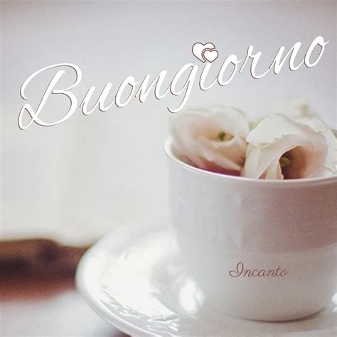 Buongiorno Immagini Nuove Per Gli Amici BacioGiorno It