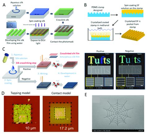 Micro Patterning Of Silk Based Biomaterials A Schematic Diagram Of