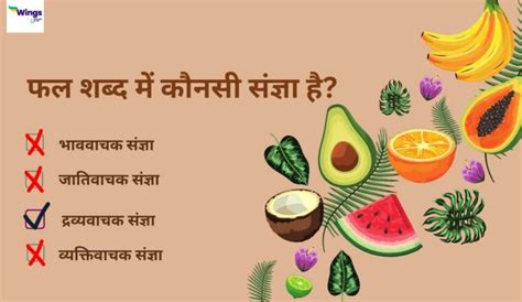 संज्ञा और सर्वनाम की परिभाषा क्या हैं Leverage Edu