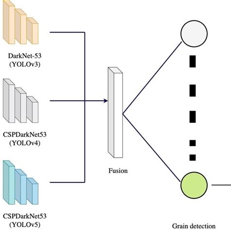 Grain Detection Using Yolov3 Yolov4 And Yolov5 Download Scientific