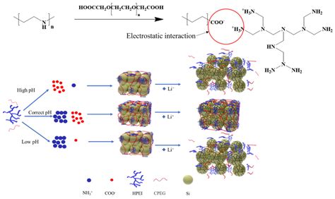 Hyperbranched Polymer Network Based On Electrostatic Interaction For Anodes In Lithium Ion Batteries