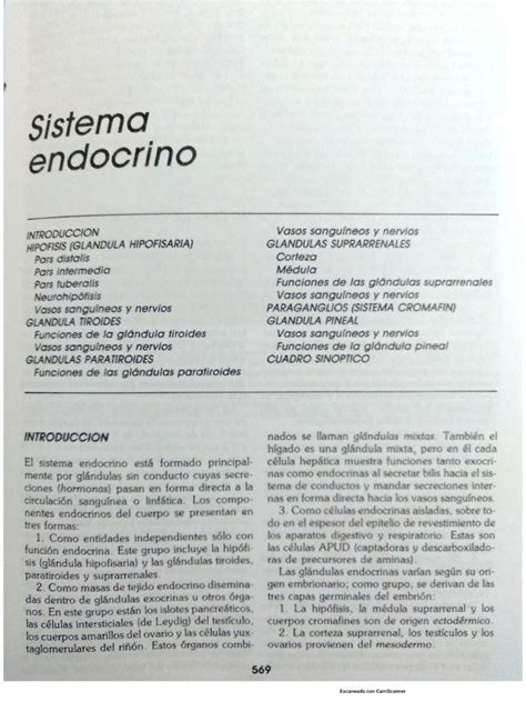 Sistema Endocrino Histología Pdf
