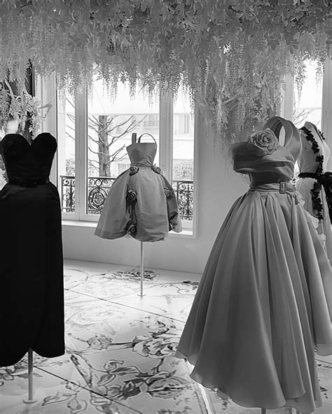 Non Stop Noa מתכננים לבקר בגלרי דיור שימו לב לשינויים Facebook