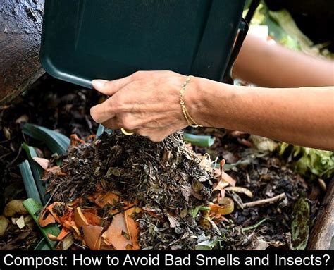 Compost How To Avoid Bad Smells And Insects