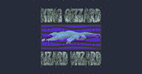 Kglw Drunken Cat Is High Fanart King Gizzard And The Lizard Wizard