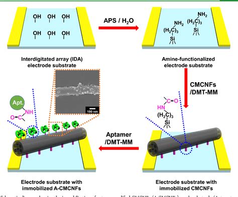 Field Effect Transistor Sensor At Justin Pope Blog