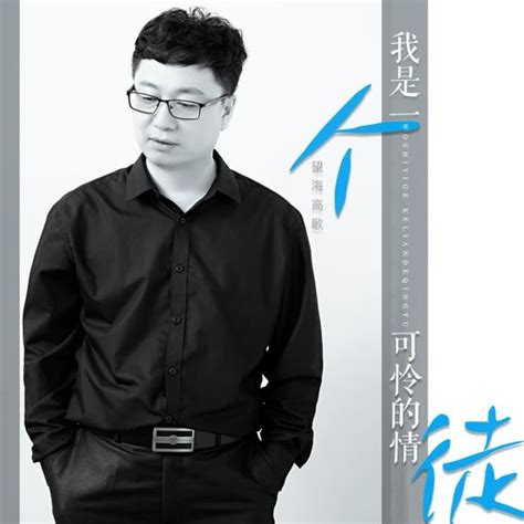 我是一个可怜的情徒DJ阿能 伴奏 望海高歌 mp3免费在线下载播放 歌曲宝 找歌就用歌曲宝 MP3音乐高品质在线免费下载