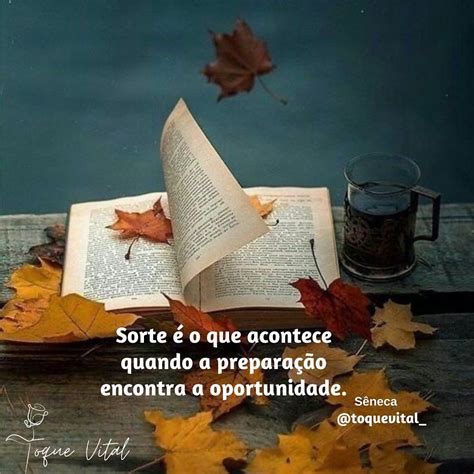 Sorte é O Que Acontece Quando A Preparação Encontra A Oportunidade