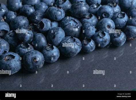 Blueberries Background Blueberry Border Design Ripe And Juicy Fresh