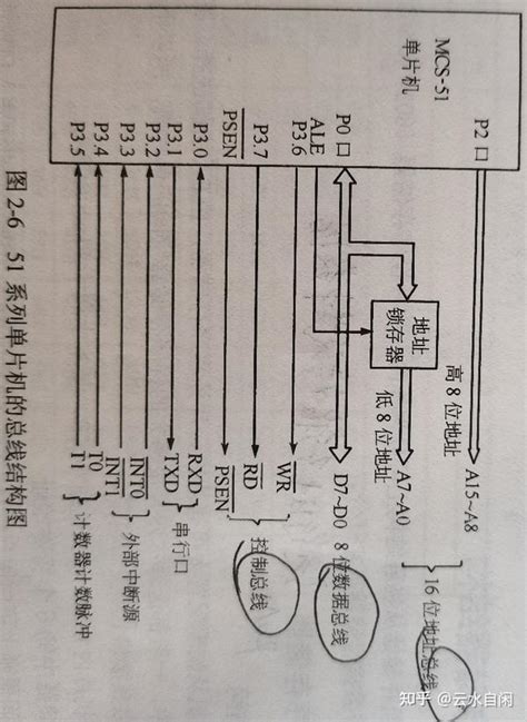 单片机原理及应用知识总结 知乎