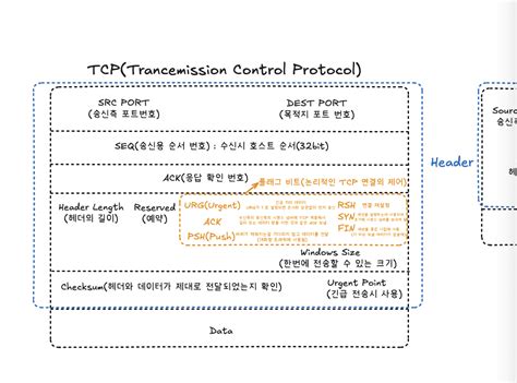 🔍about Tcp 🔍about Tcp