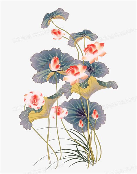 中国风淡雅盛开的荷花荷花中国风水彩莲花PNG图片素材下载 荷花PNG 熊猫办公
